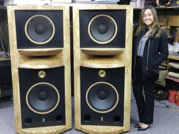 Field Coil Speakers everything you need to know