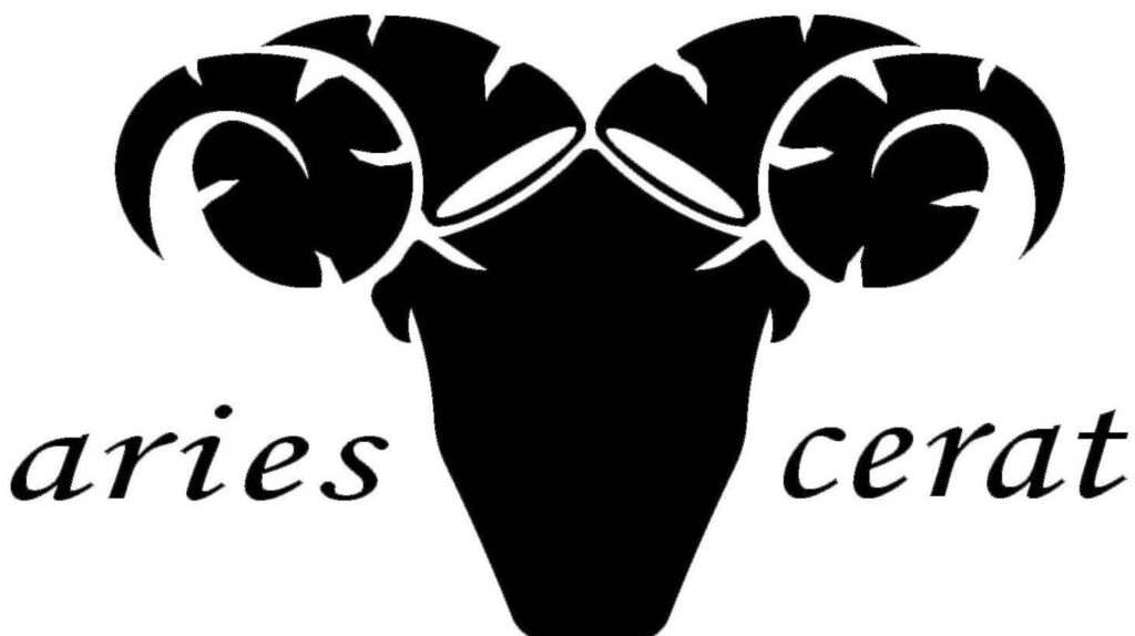 Aries Cerat Aurora Speakers TriodeFet & Inverted Triode